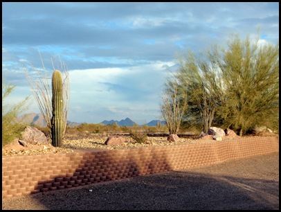 Life's Little Adventures: Holt’s Shell RV Park, Gila Bend, AZ